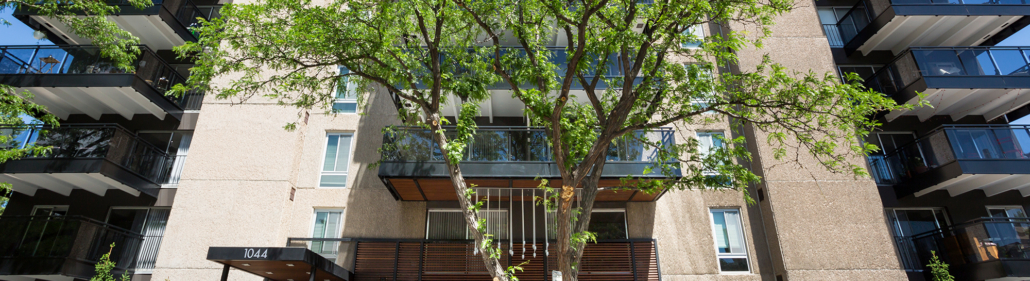 Multifamily Exterior Renovations That Improve Curb Appeal